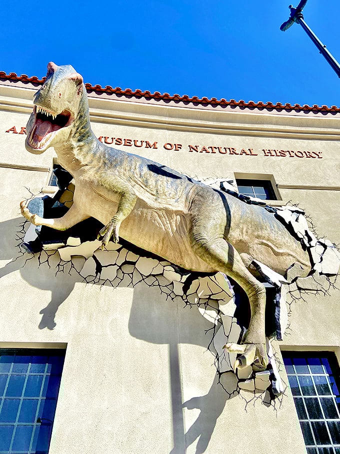 "Holy fossils, Batman! This T-Rex isn't just breaking through walls, it's smashing expectations of museum fun."