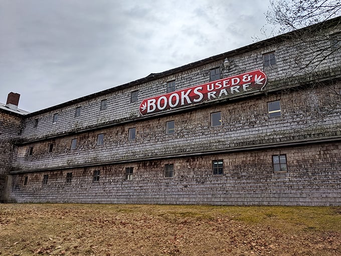 A pit stop that'll have you clucking with joy &ndash; literary treasures in an unexpected package.