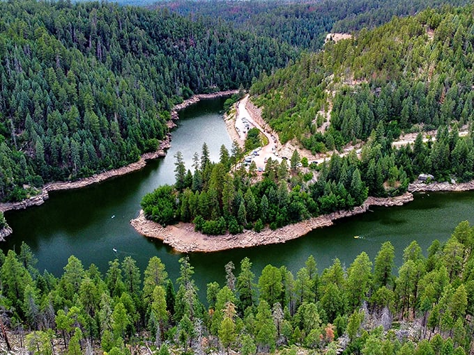 Mirror, mirror in the forest. This glassy lake reflects pines like a Bob Ross painting come to life.