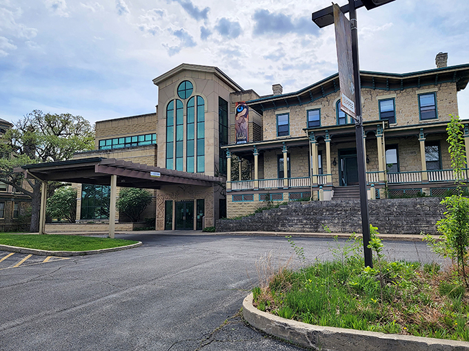 "Step into a world where 'fossil' isn't just what your grandkids call you - it's a thrilling journey through time!"