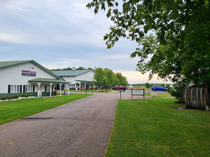 Pit stop perfection! Carlos Creek Winery is the oasis your taste buds didn't know they needed on this Minnesota wine odyssey.