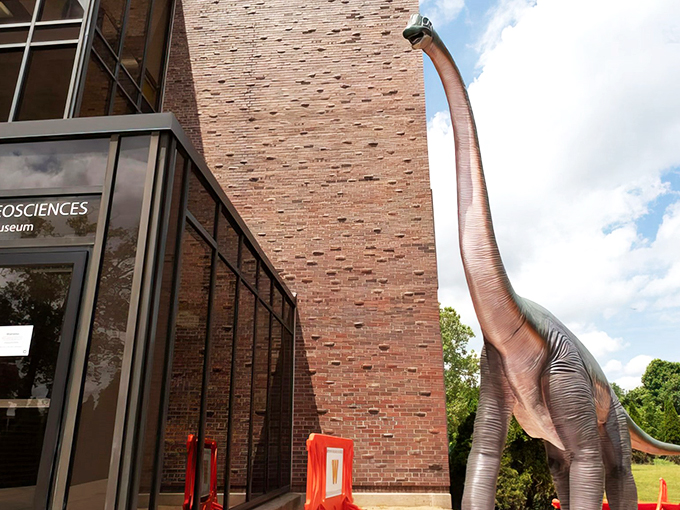 College life, now with extra teeth! WMU's Dinosaur Park proves higher education and prehistory make surprisingly good roommates.