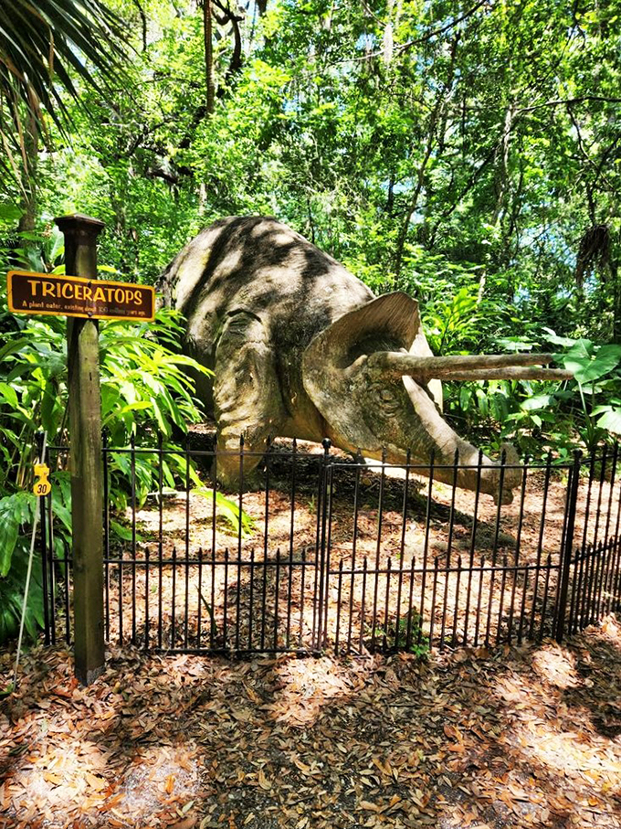 Jurassic Park meets Southern charm! This triceratops looks ready to munch on some sugarcane, blending prehistoric whimsy with plantation history.