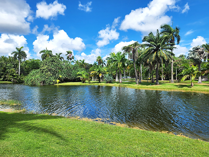 Tropical tranquility at its finest. This serene lake view is Mother Nature's way of saying, "Chill out, Florida style!"