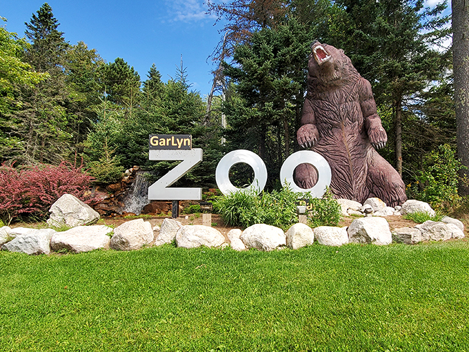 Roadside photo op alert! This bear statue is the perfect "You are here" moment.