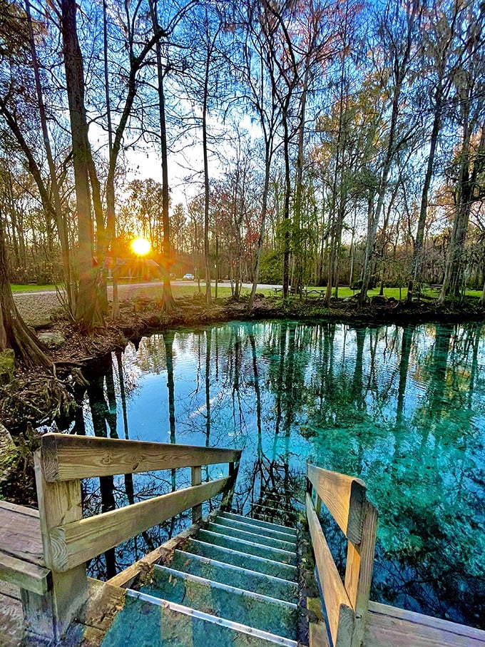 Roadside paradise found! Ginnie Springs is the ultimate pitstop for aquatic adventurers and relaxation seekers alike.