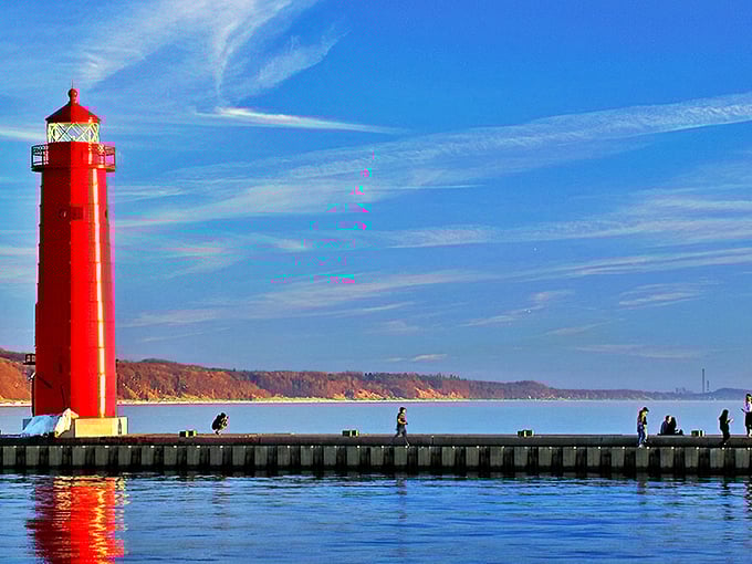 Red carpet of the Great Lakes! This crimson beauty struts its stuff on a pier catwalk, ready for its close-up.