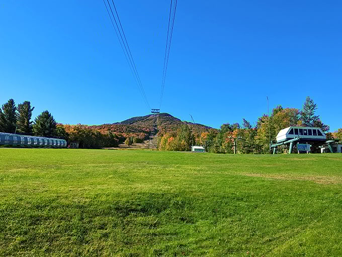 Jay Peak: Where the sky meets the slopes! This aerial tram whisks you to heavenly views faster than you can say "Green Mountain high."