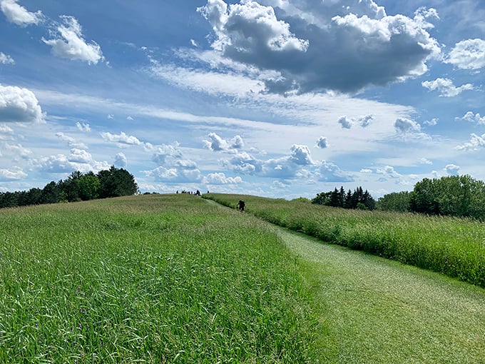 Welcome to the Disneyland of dirt! Thrills, spills, and panoramic hills await.