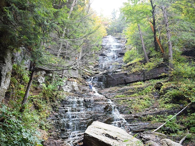Lye Brook Falls: Where Mother Nature shows off her best impression of a multi-tiered wedding cake. Spoiler alert: It's all water, no fondant.