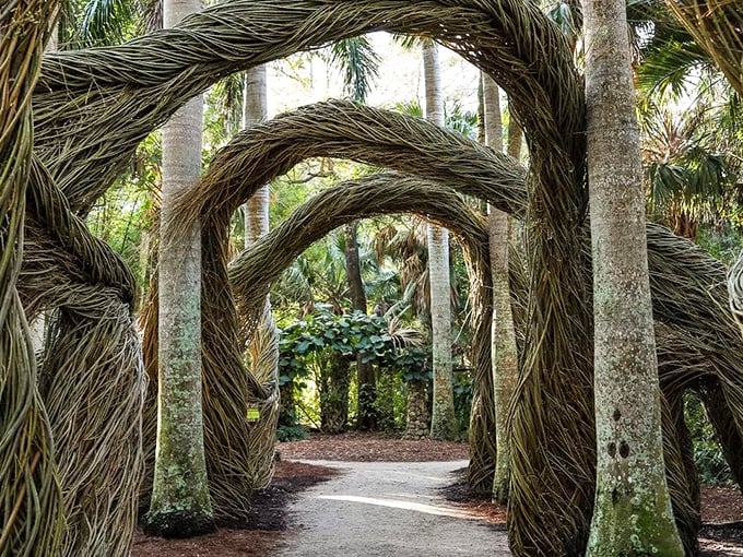 McKee Botanical Garden: "Lily pads fit for Frodo! These giant aquatic leaves could host a hobbit's tea party &ndash; just add lembas bread.