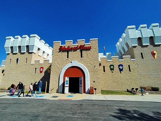 Medieval Times: Dinner with a side of jousting! Watch knights clash while you feast like royalty – just leave your table manners in the 21st century.