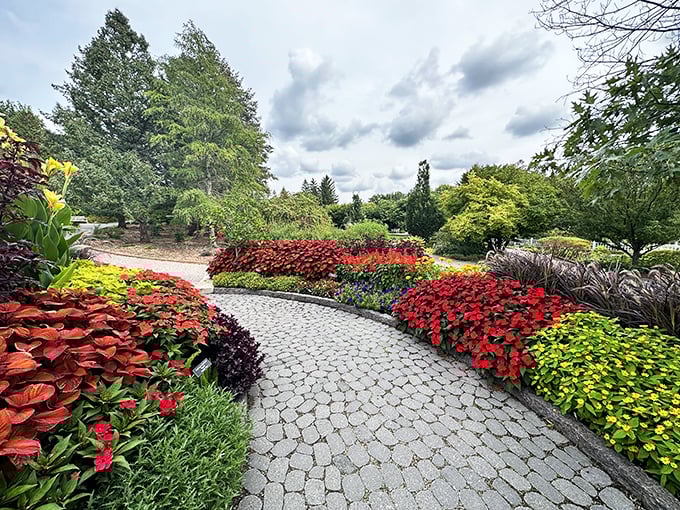 Nature's red carpet! This floral pathway leads you through a technicolor dream of petals and perfume.