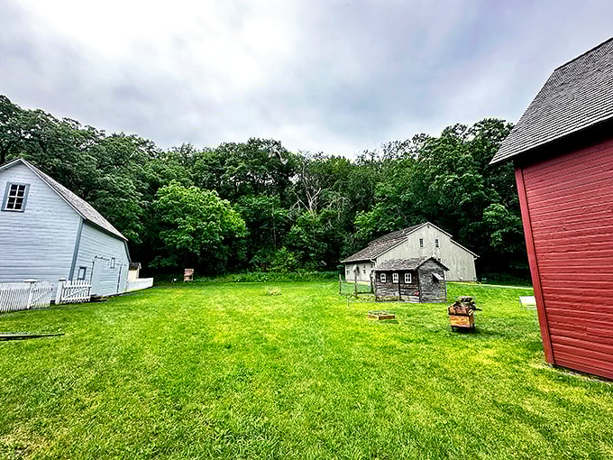 Mystery Cave's rustic charm invites explorers. It's like stepping into a geological time machine, minus the flux capacitor.