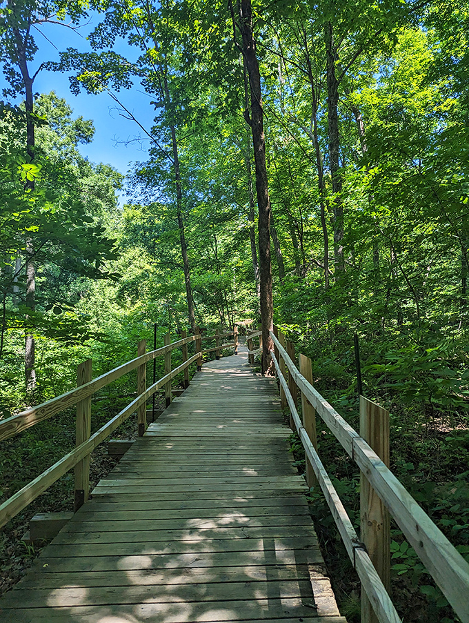 Nerstrand's wooden walkway: Nature's red carpet. Stroll through a sea of green, feeling like a VIP at Mother Earth's exclusive gala.