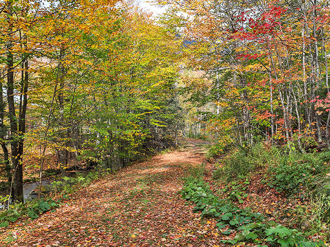 Where boulders play hide-and-seek and history whispers tales of daring smugglers. Adventure awaits!