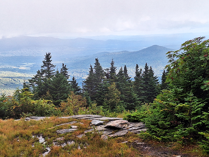 Stairway to heaven? Nope, just the Sterling Pond Trail. Each step brings you closer to views that'll make your heart sing louder than Robert Plant.