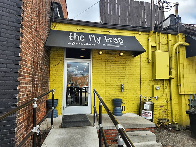 Don't let the name bug you! The Fly Trap's sunny exterior hints at the flavor explosion waiting inside.