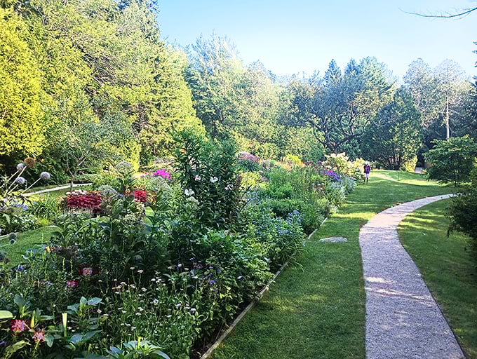 Flower power in full force! This vibrant vista is like nature's own psychedelic light show.