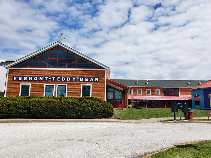 Unbearably cute! Step into a world where teddy bears come to life and adults rediscover their inner child.