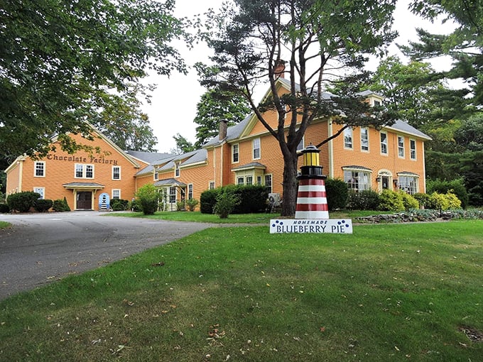 Chocolate lovers, rejoice! Wilbur's quaint exterior hides a treasure trove of cocoa-based delights that'll make your heart skip a beat.