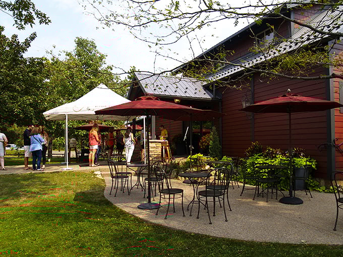 Peacocks and Pinot? It's not a fever dream &ndash; it's just another day at this whimsical Hastings hideaway.