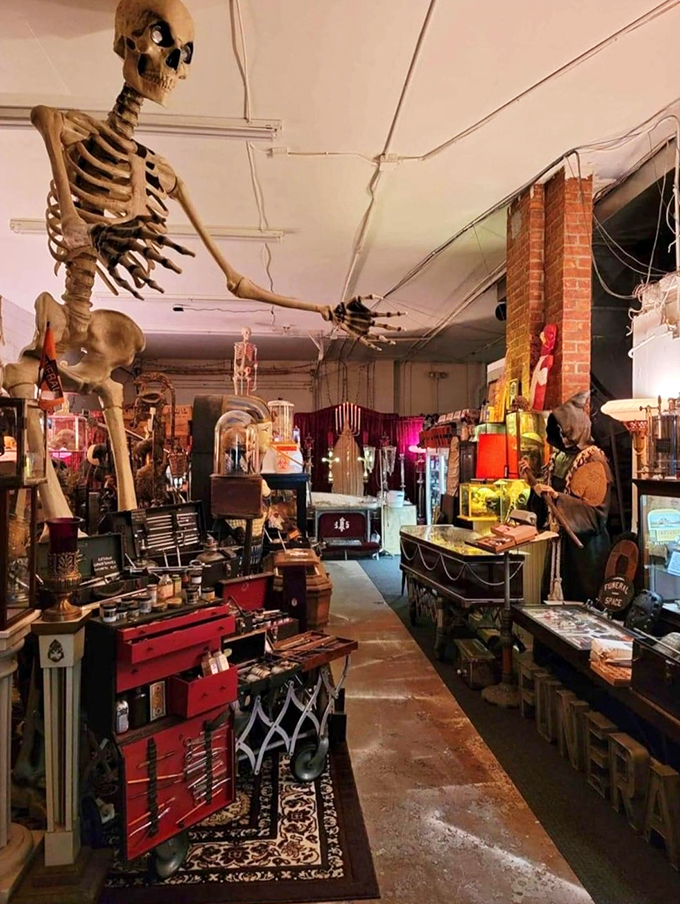 Detour into the dark side! This spooky stop turns every day into a thrilling Halloween adventure.