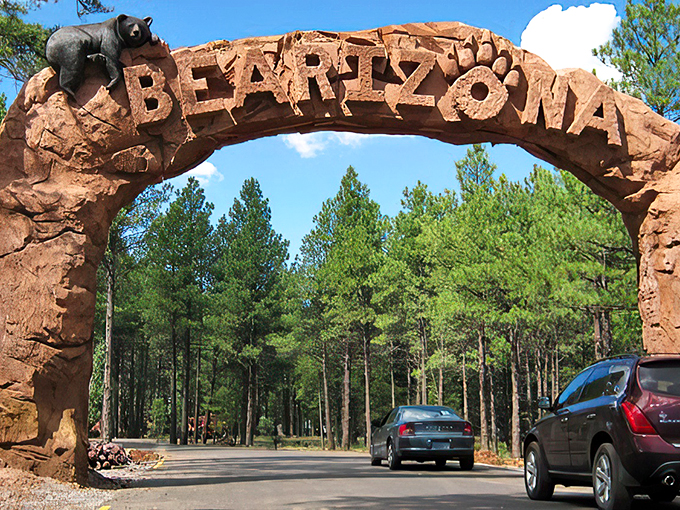 Fort Bearizona: where the West was won... by adorable bear cubs and majestic raptors.