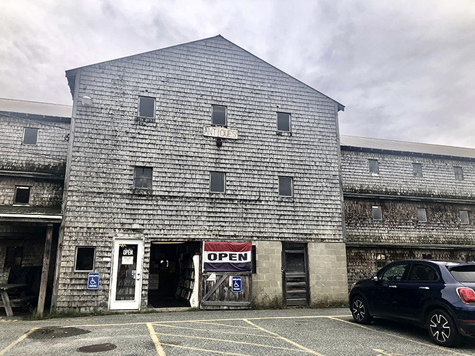 Detour alert! This converted chicken coop is serving up rare books instead of eggs.