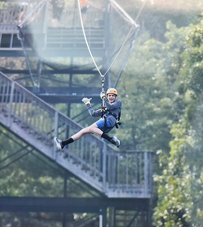 Forget walking &ndash; this is how squirrels would commute if they had opposable thumbs and a flair for the dramatic.