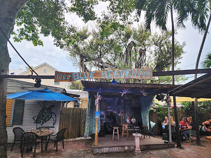 Step into Blue Heaven, where the ambiance is as colorful as a Jimmy Buffett song. Expect the unexpected &ndash; and incredible flavors!