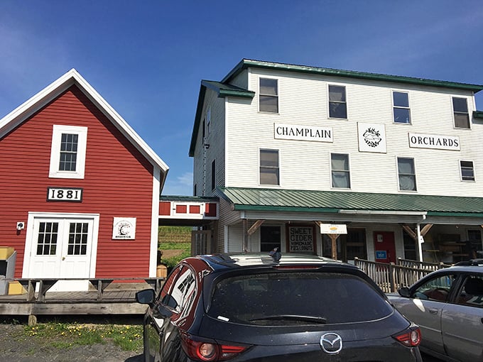 Sip and savor the journey. Their hard cider tasting room is the ultimate road trip reward.
