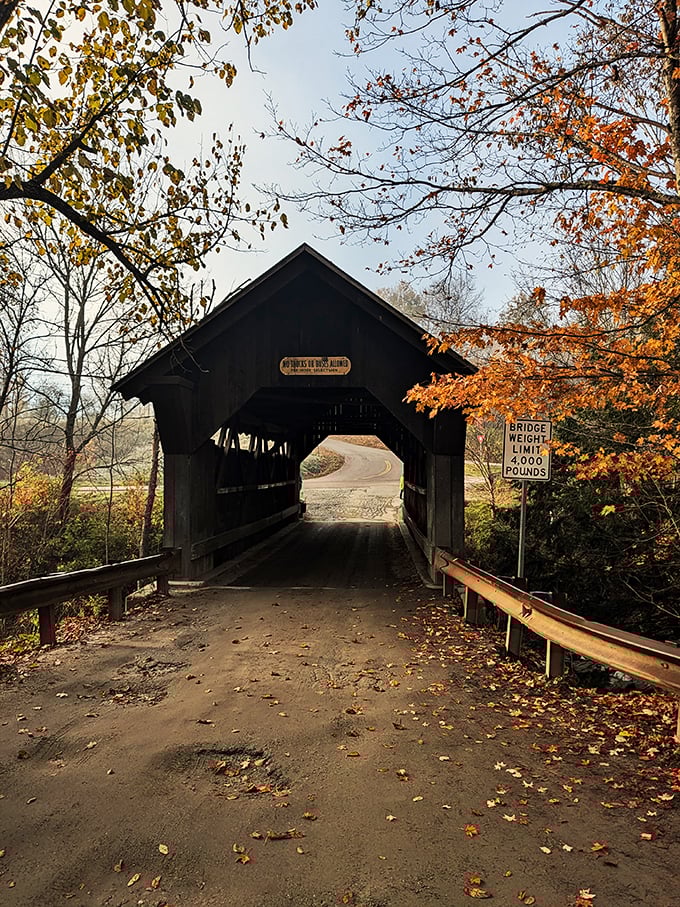 Autumn's golden touch transforms this haunted bridge into a postcard-perfect scene. Ghost sightings not guaranteed, but highly anticipated!