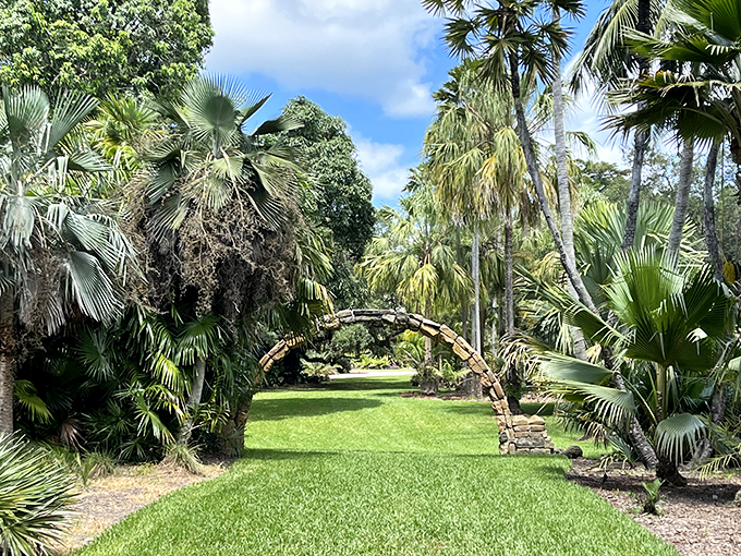 Nature's red carpet! Fairchild's palm-lined path is so grand, you'll feel like a VIP at the Oscars of photosynthesis.