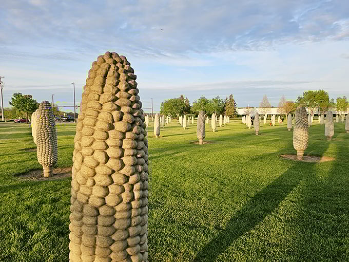 "It's always harvest season in Dublin's concrete cornfield. No butter needed for these stone stalks!"