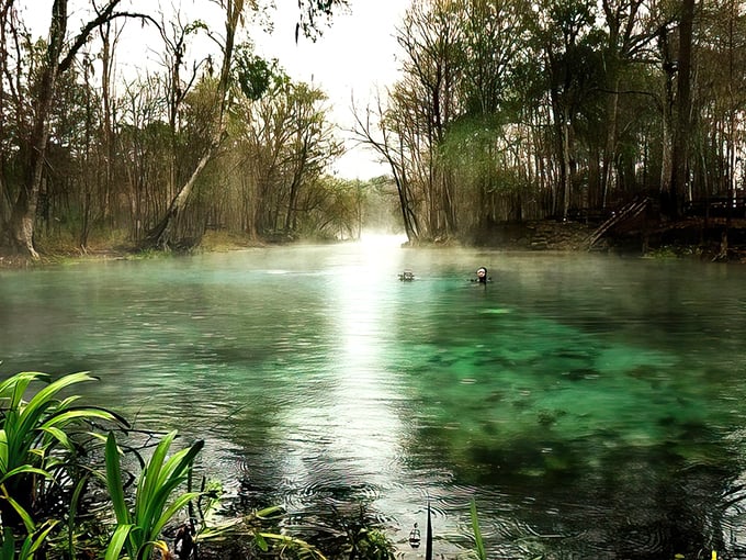 Float your cares away on the Santa Fe River. It's like a highway, but wetter and way more fun.