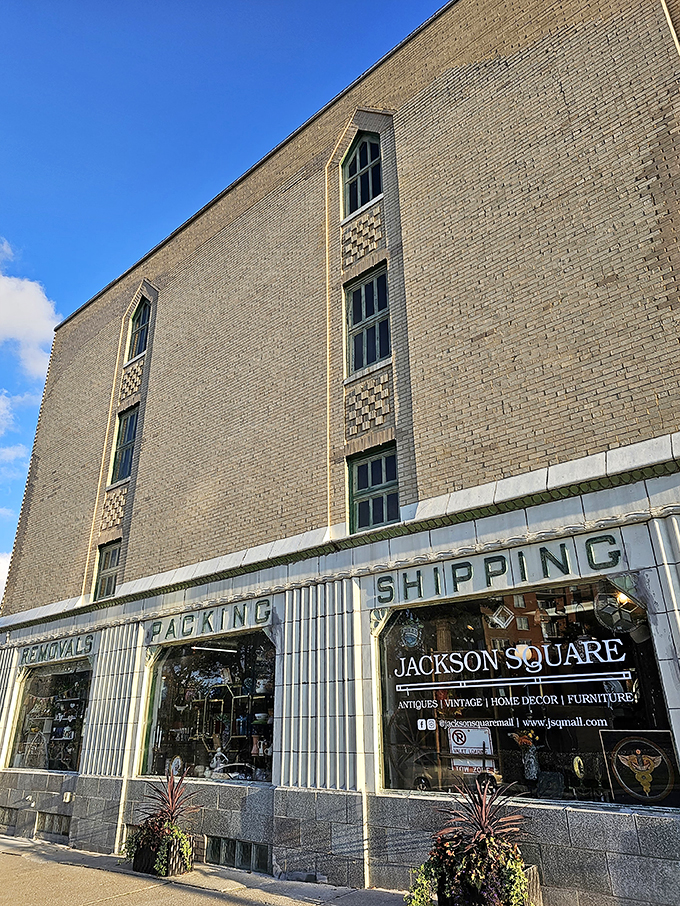 Pack your sense of wonder! Jackson Square Mall is a roadside attraction that keeps on giving, one vintage find at a time.