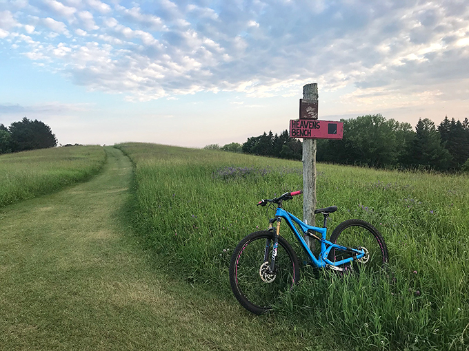 Tree-lined rollercoaster alert! Prepare for a wild ride through nature's own theme park.
