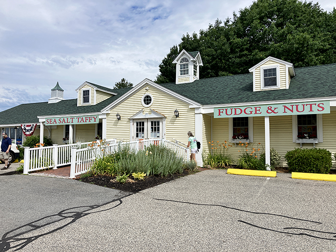 Detour alert! This candy wonderland is worth veering off the beaten path. Your taste buds will thank you for the scenic route.