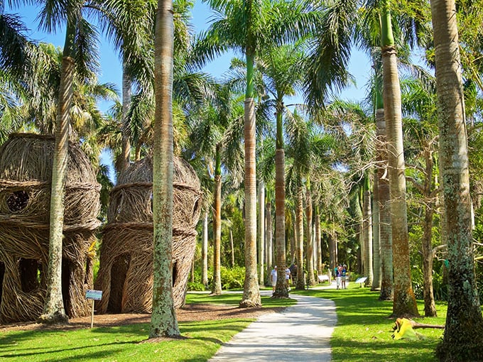 Nature's stained glass: Sunlight dapples through a canopy of green, creating a cathedral of tranquility. No shoes required!
