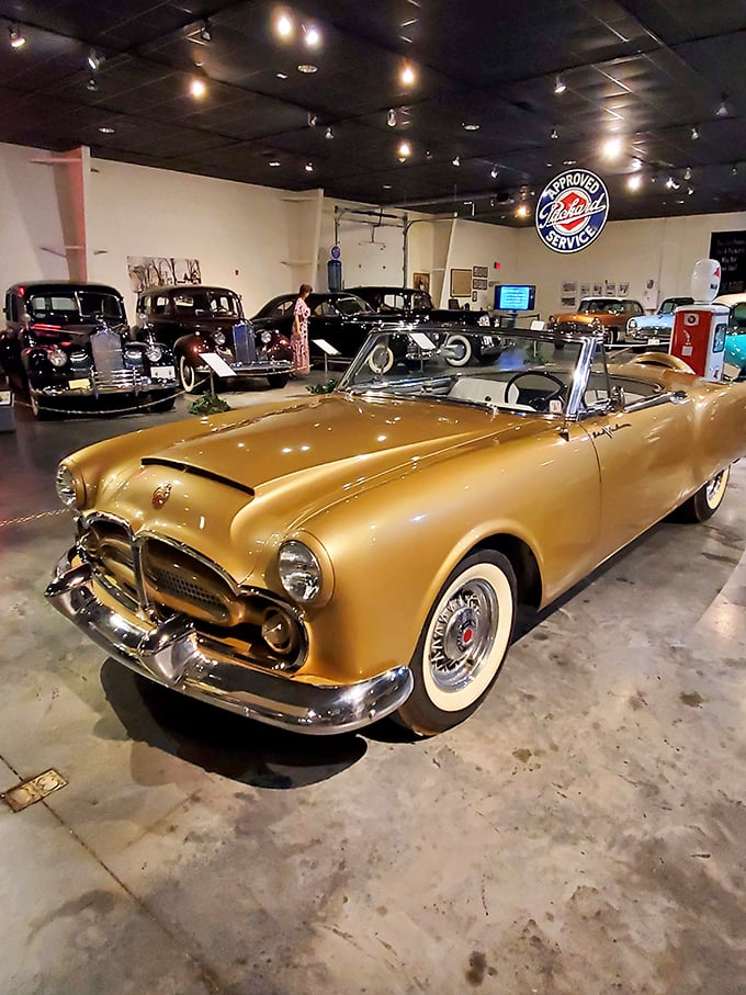 Cruise control off, nostalgia on full throttle! This museum is the perfect rest stop for your inner car enthusiast.