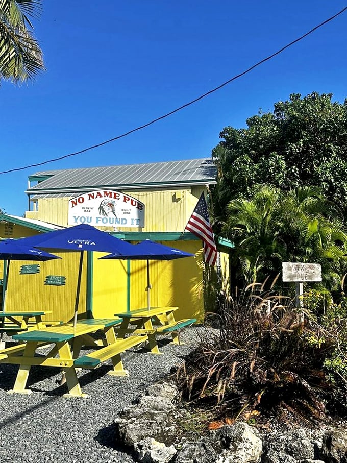 At No Name Pub, the decor is all about the Benjamins, baby! Well, mostly Georges and Abes, but who's counting?