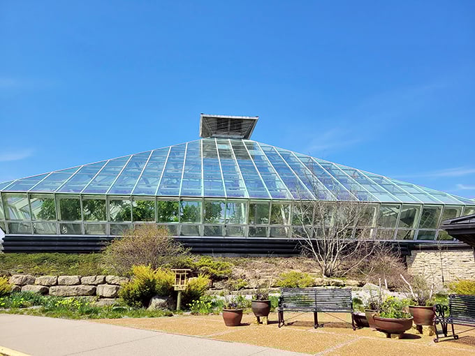 Autumn magic at Olbrich Gardens. It's like Mother Nature's own fashion week, showcasing her latest fall collection.