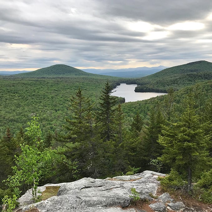 A forest so lush, you'll half expect to stumble upon a fairy tale tea party mid-hike.