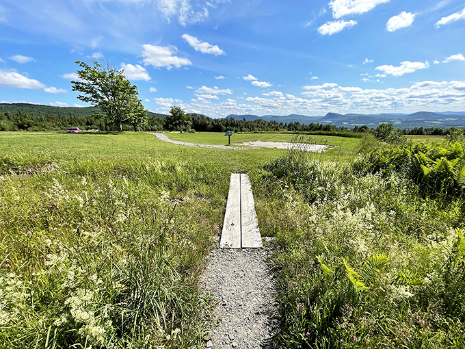 The ultimate pit stop vista. Stretch those driving legs and drink in Vermont's green tapestry.