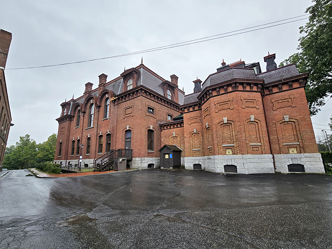 Rev up your intellectual engines! This library-art gallery combo is the perfect fuel for curious minds on the road.