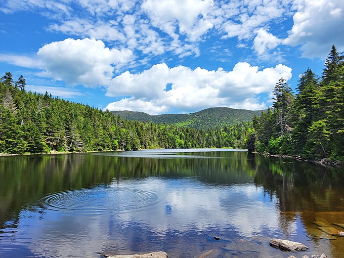 Mirror, mirror on the pond: Sterling Pond reflects Vermont's beauty like nature's own Instagram filter. Selfie sticks optional, sense of wonder mandatory.