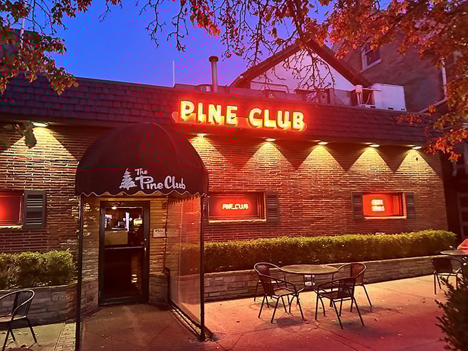 "Nighttime at The Pine Club: where the steaks are hot, the martinis are cold, and the atmosphere is pure vintage cool."