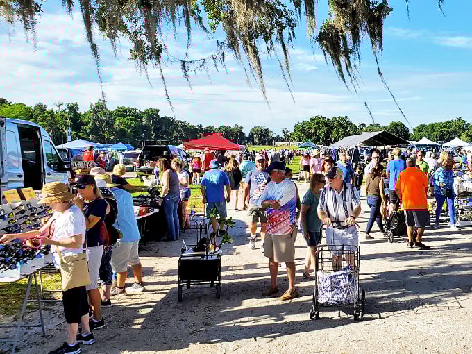 Sun-dappled shopping spree! Moss-draped trees provide the perfect canopy for bargain hunters and browsers alike.