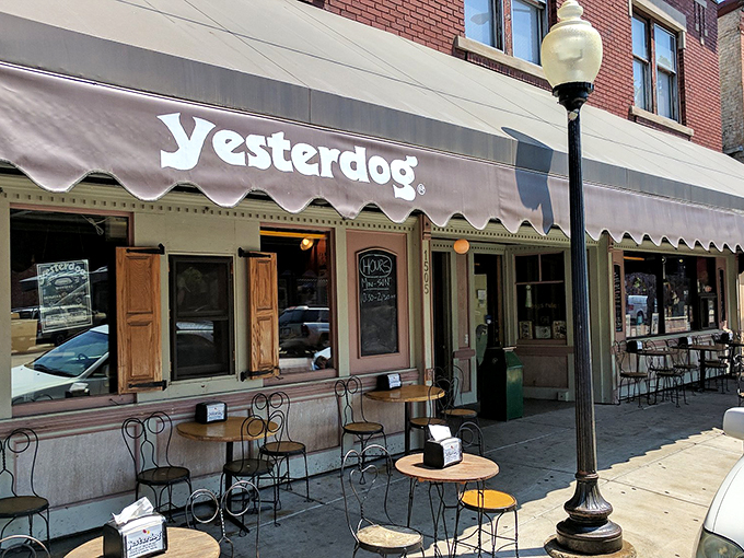 Road trip rewind! Yesterdog's nostalgic exterior promises a journey for your taste buds and a feast for your Instagram feed.